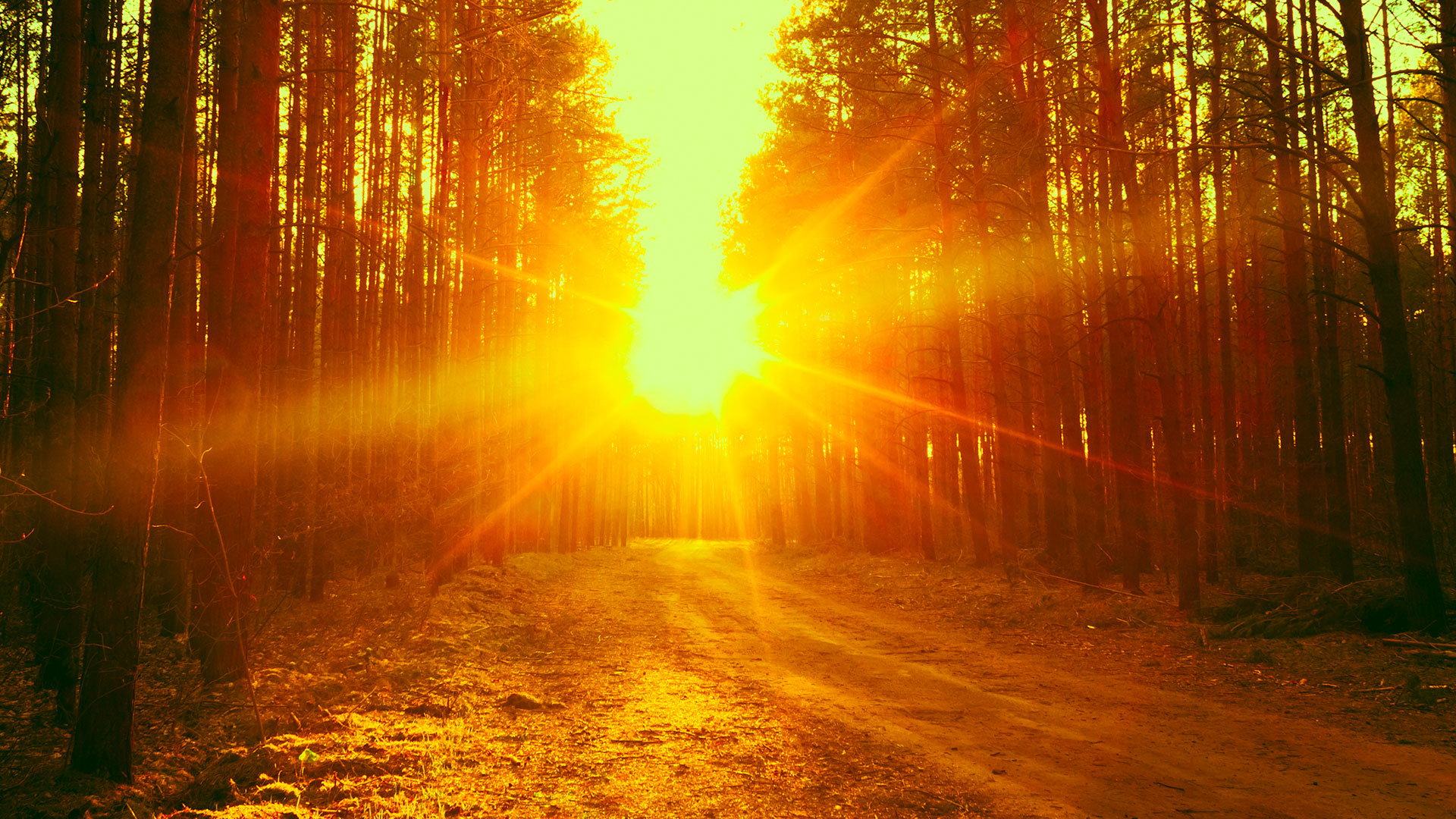 The Regency Supply Story and Timeline